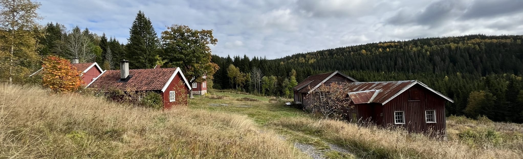 Bjørnholt to Tomtehytta via Liggeren: 1 Reviews, Map - Oslo, Norway ...