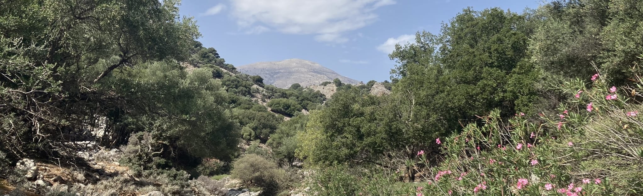 Mesa Lasithi - Kritsa, Crete, Greece - Map, Guide | AllTrails