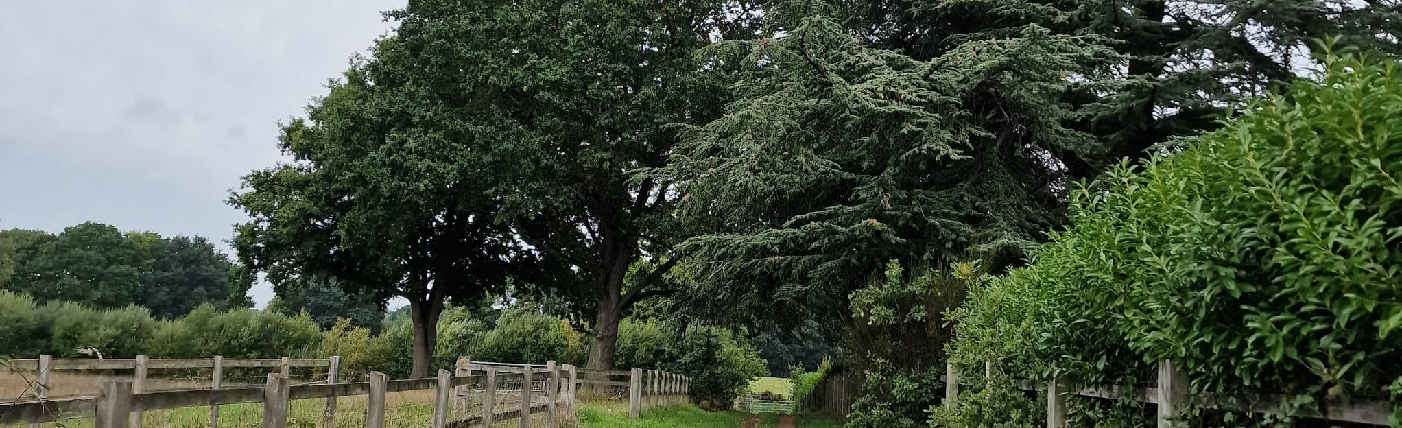 Windlesham Village Circuit: 22 foto's - Surrey, Engeland | AllTrails