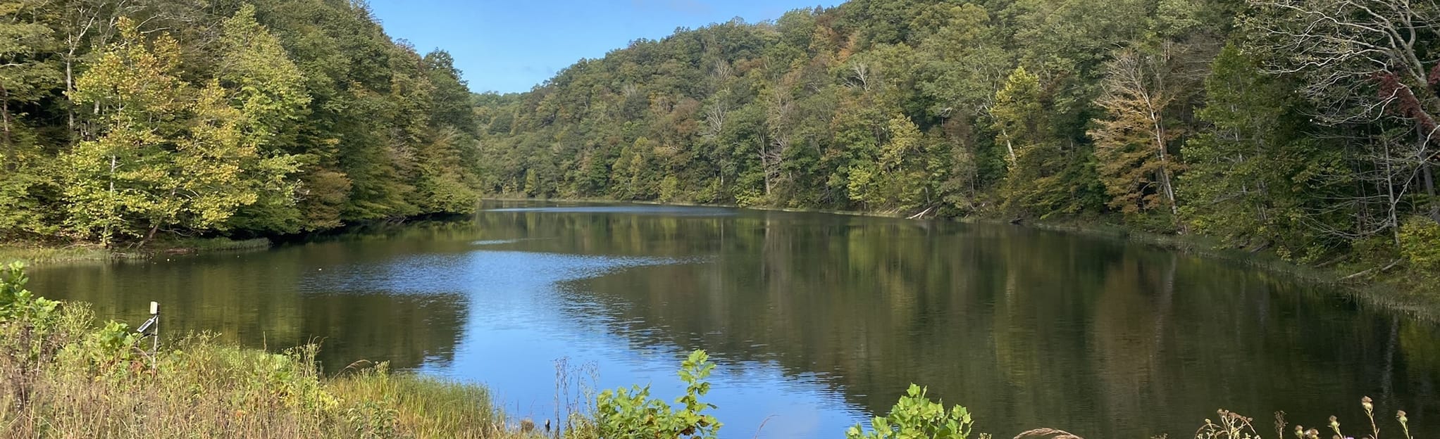 Carter Caves Cross Country Trail: 353 Reviews, Map - Kentucky | AllTrails