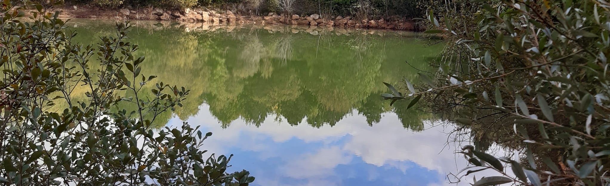 Font de Benon - Bois des Vergnes - Le Grand Fief, Charente-Maritime ...