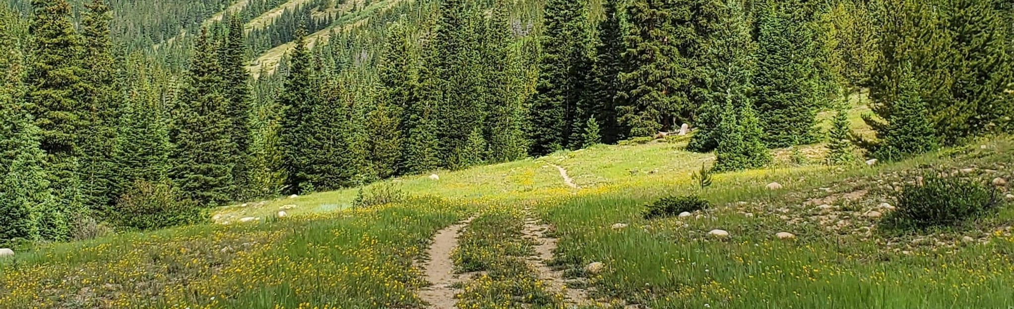 Mount Trelease, Colorado - 19 Reviews, Map | AllTrails