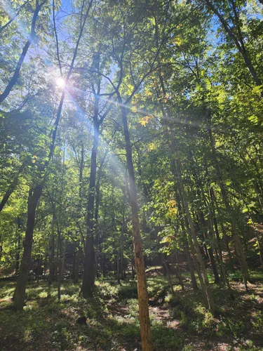 Best Hikes and Trails in Ambrose A. Call State Park | AllTrails