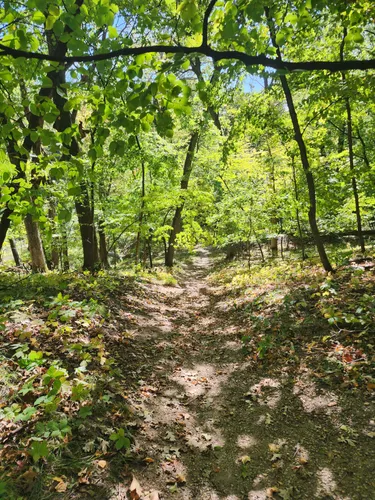 Best Hikes and Trails in Ambrose A. Call State Park | AllTrails