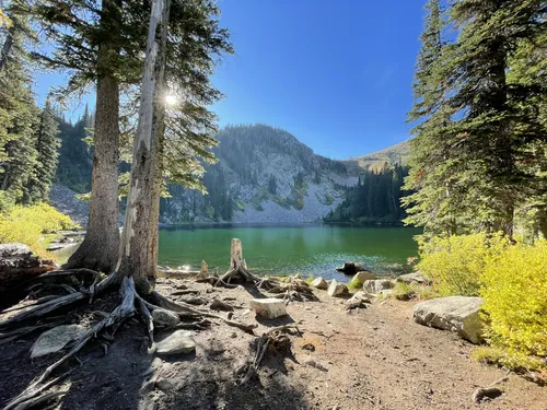 10 Best Lake Trails in Idaho Panhandle National Forest | AllTrails