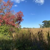 Goose Rocks Beach Walk, Maine - 242 Reviews, Map | AllTrails