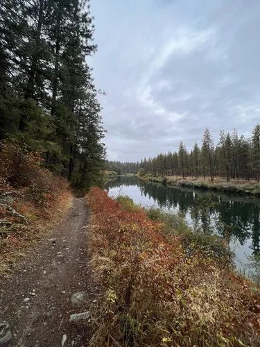 2023 Best Easy Trails in Nine Mile Falls | AllTrails