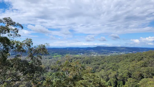 Best Hikes and Trails in Katandra Reserve | AllTrails