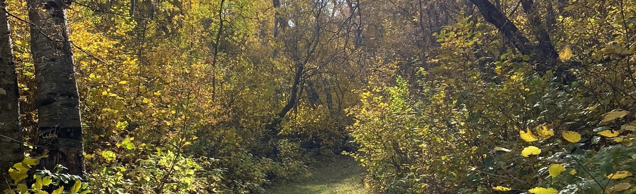 Ermine Trail Loop via Mink Trail: 60 Reviews, Map - Saskatchewan ...