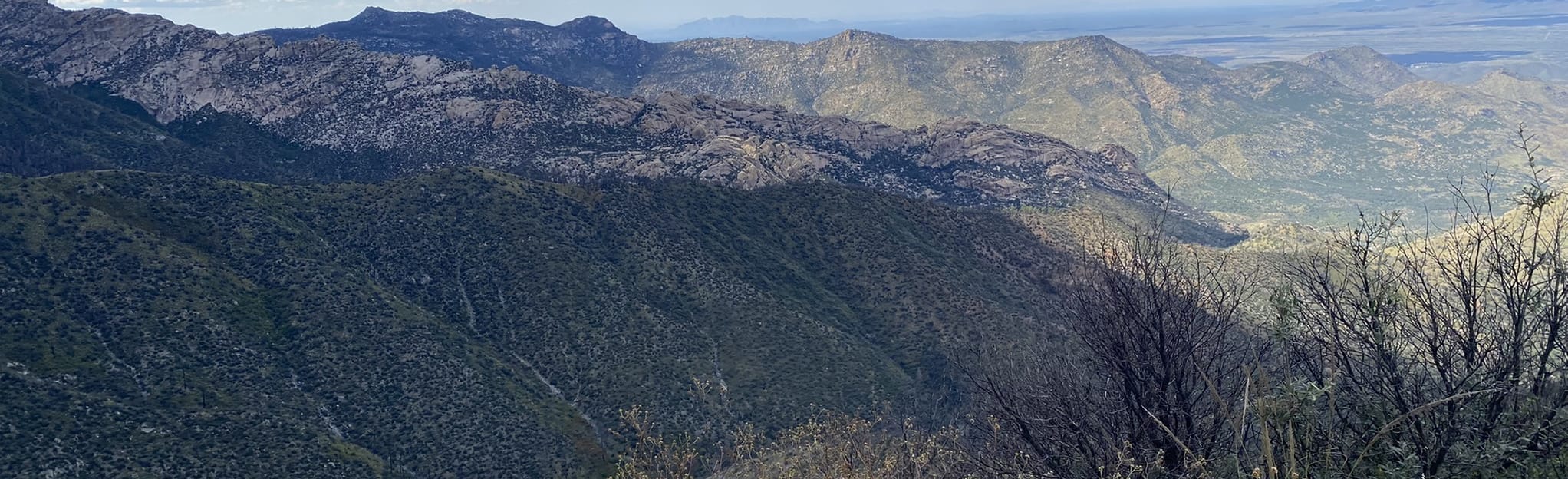 Marble Peak via Oracle Ridge Trail, Arizona - 107 Reviews, Map | AllTrails