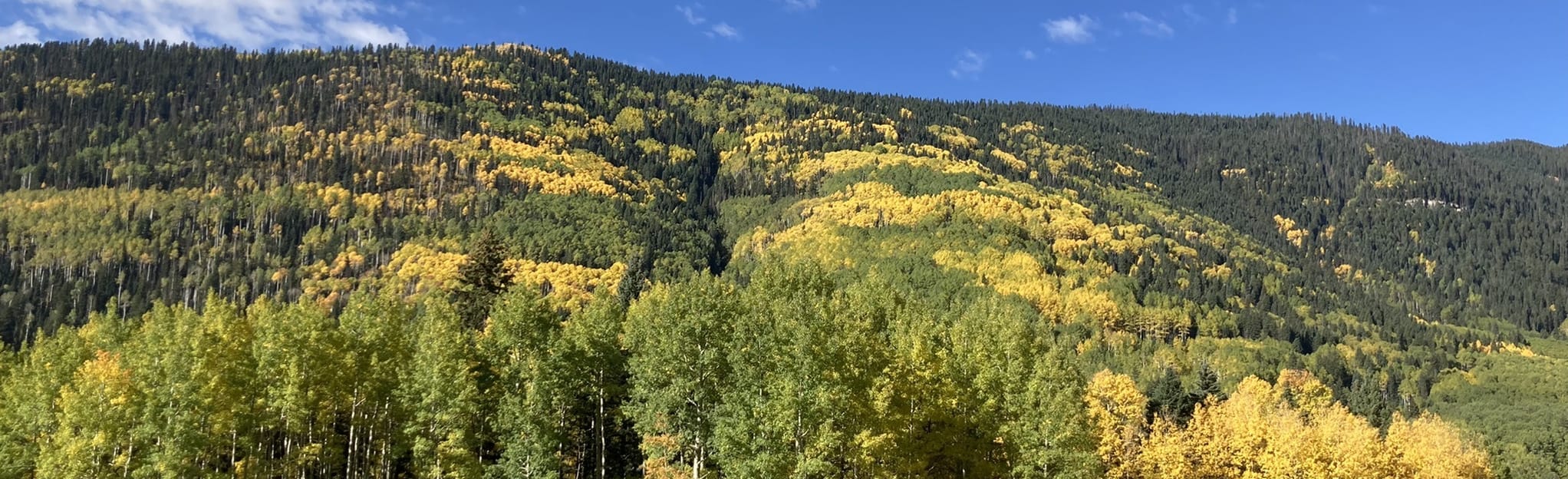 Cascade Creek Trail: 207 Reviews, Map - Colorado | AllTrails