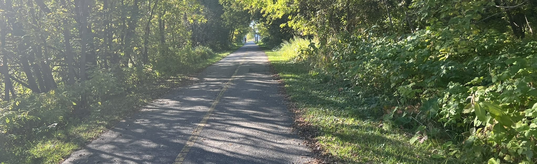 AllTrails | Kate Pace Way: 118 Reviews, Map - Ontario, Canada