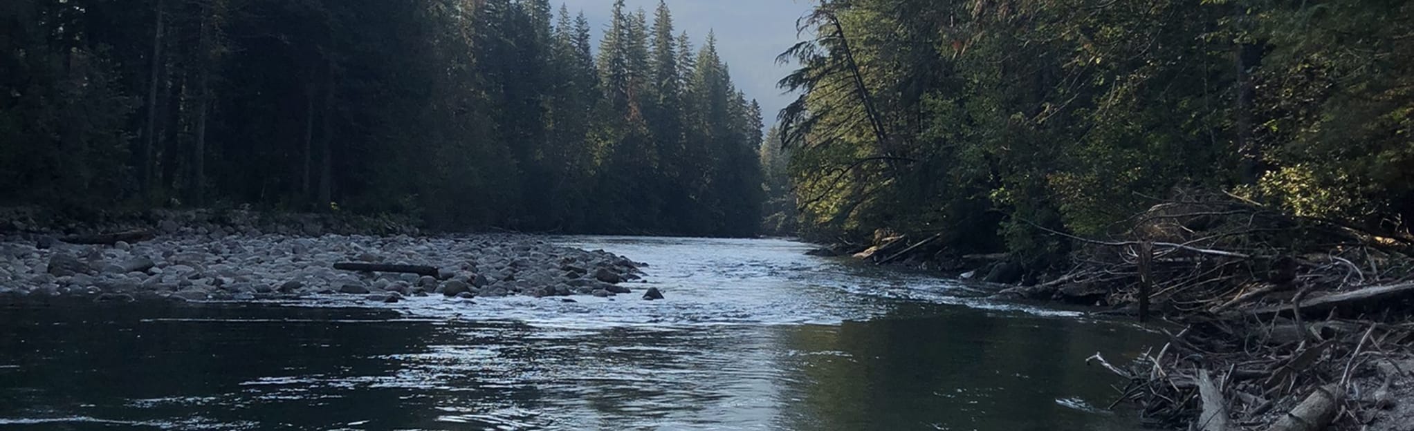 Perry River Trail, British Columbia, Canada - 29 Reviews, Map | AllTrails