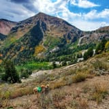 Box Elder Peak via Deer Creek-Dry Creek Trail, Utah - 310 Reviews, Map ...