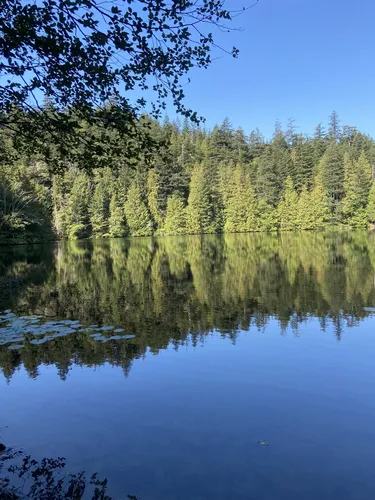 10 Best Hikes and Trails in Larrabee State Park | AllTrails