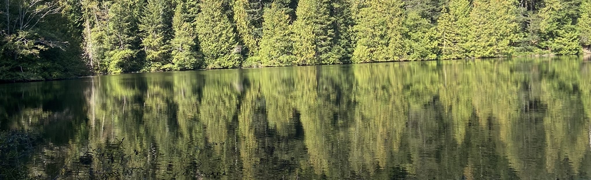 Fragrance Lake Two Dollar Trail Loop: 2.019 foto - Washington | AllTrails