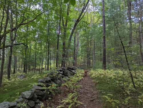 Best Hikes and Trails in Fort Pond Brook | AllTrails