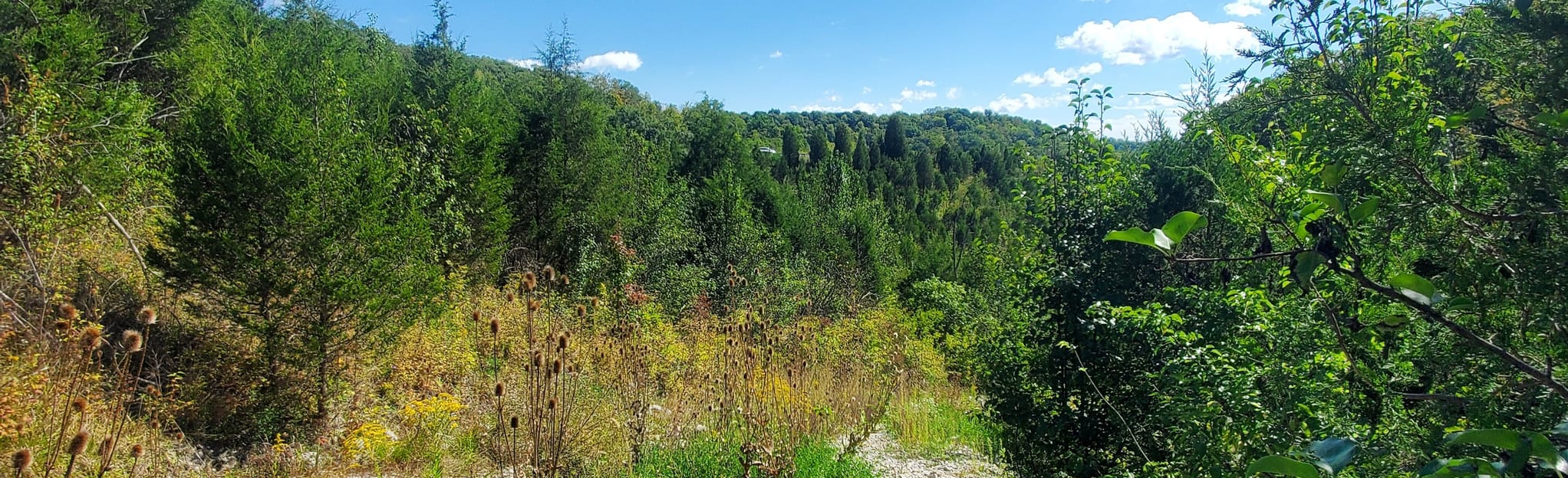 Explorers Trail Loop : 235 Reviews, Map - Ohio | AllTrails