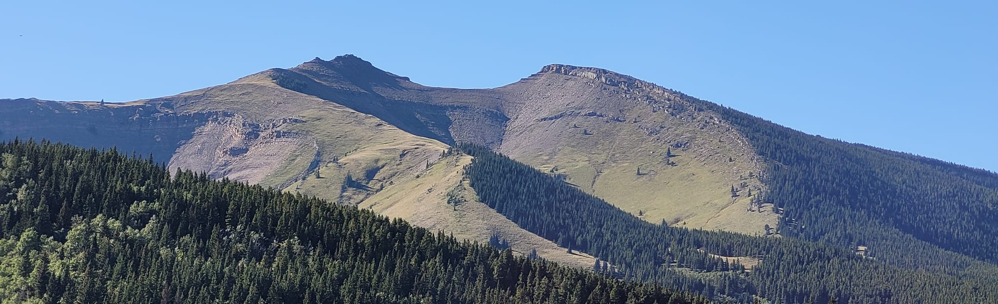 Saddle Mountain Loop: 1 foto's - Alberta, Canada | AllTrails