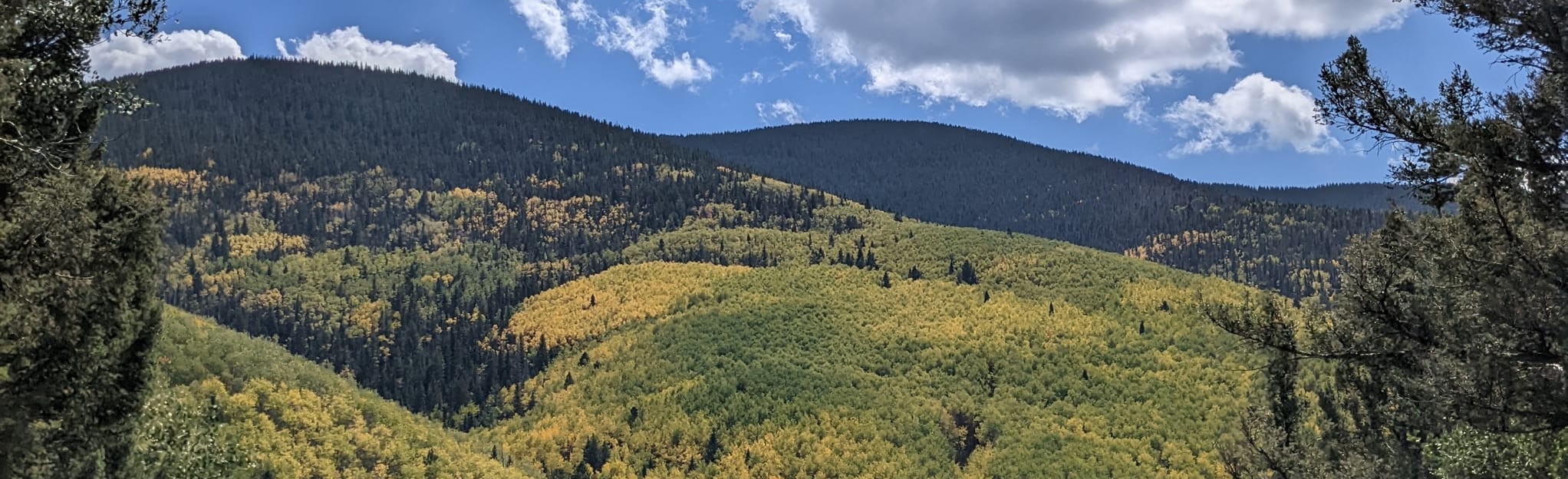 Tesuque Peak via FS-150 - New Mexico | AllTrails