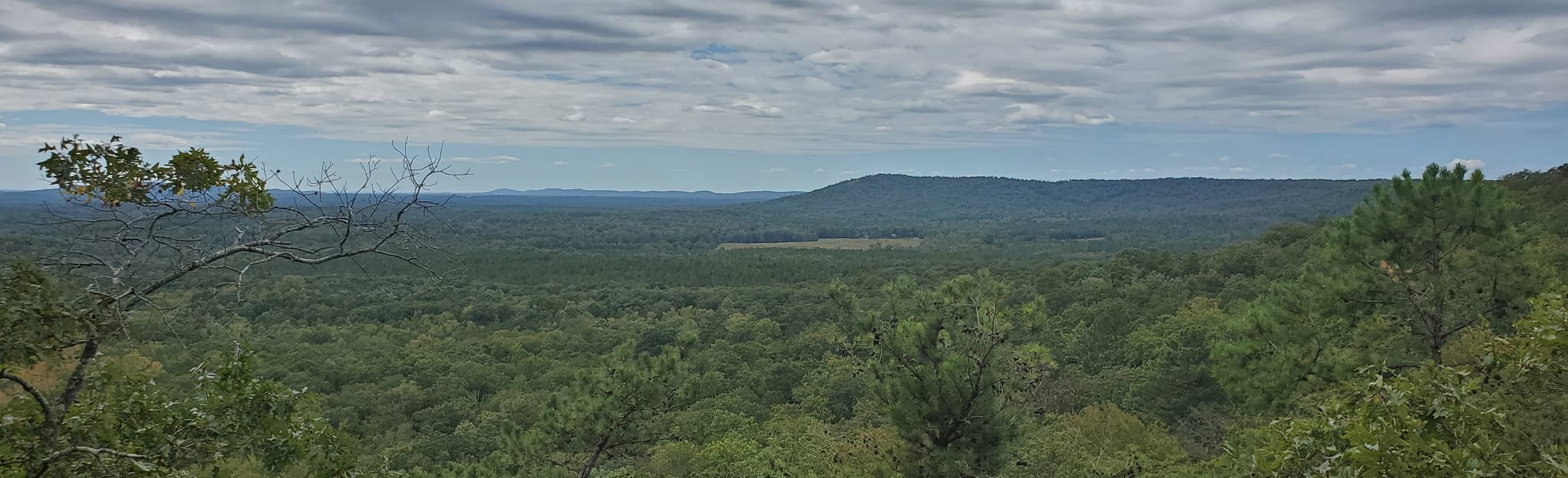 White Candle and Beaver Pond Loop | Map, Guide - Georgia | AllTrails