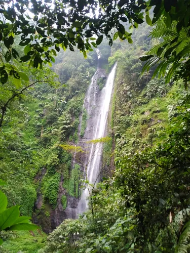 10 Best Hikes and Trails in Mount Gede Pangrango National Park | AllTrails
