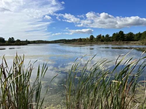 10 Best Trails and Hikes in Kingston | AllTrails