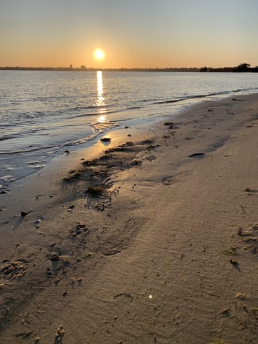 Best Hikes and Trails in Point Walter Reserve | AllTrails