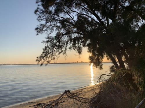 Best Hikes and Trails in Point Walter Reserve | AllTrails