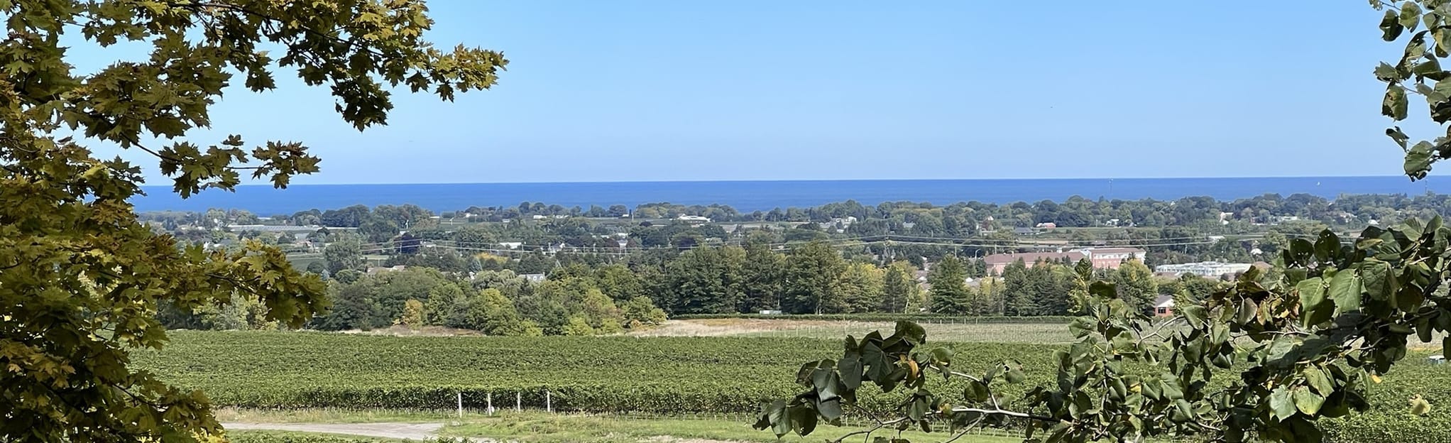 Bruce Trail: Niagara Section: 587 Reviews, Map - Ontario, Canada ...