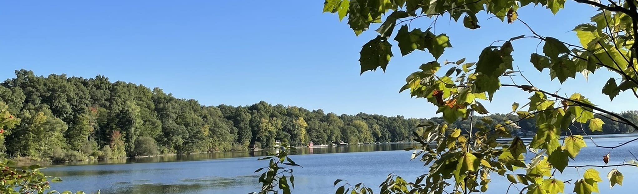 Waterloo Pinckney Trail to Hickory Hill Trail and Crooked Lake: 408 ...