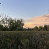 Lake Monona Bike Loop, Wisconsin - 498 Reviews, Map | AllTrails