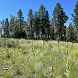 Gold Digger Trail to Two Spot Trail Loop, Arizona - 195 Reviews, Map ...