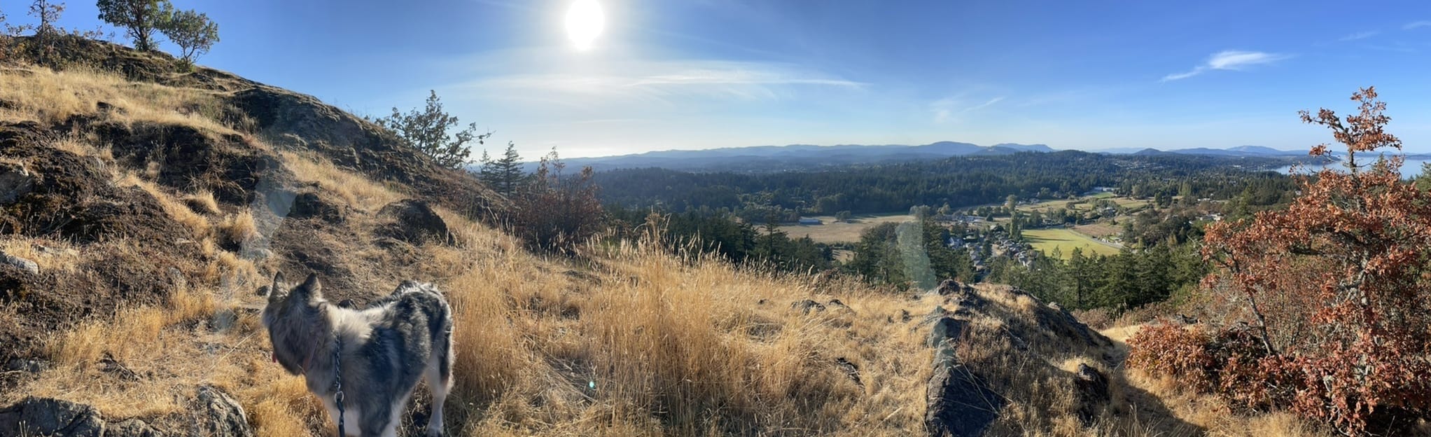 AllTrails | PKOLS (Mount Douglas) Perimeter: 234 Reviews, Map - British ...