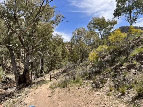10 Best Trails and Hikes in Flinders Ranges | AllTrails