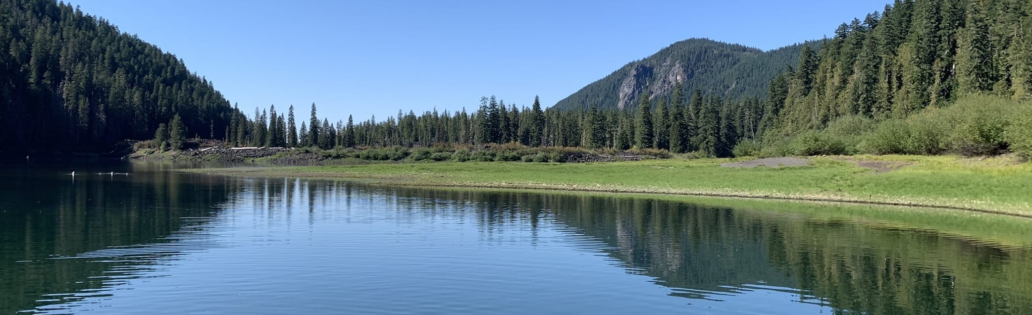 Linton Lake Trail, Oregon - 224 Reviews, Map | AllTrails