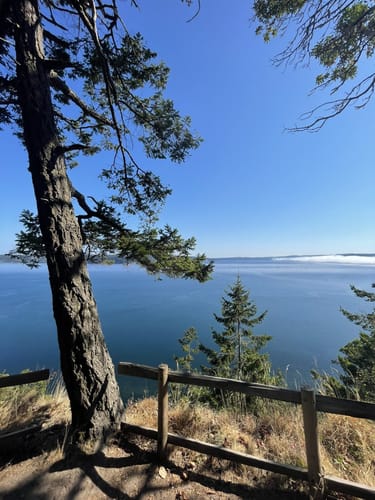 2023 Best Easy Trails in Miller Peninsula State Park | AllTrails