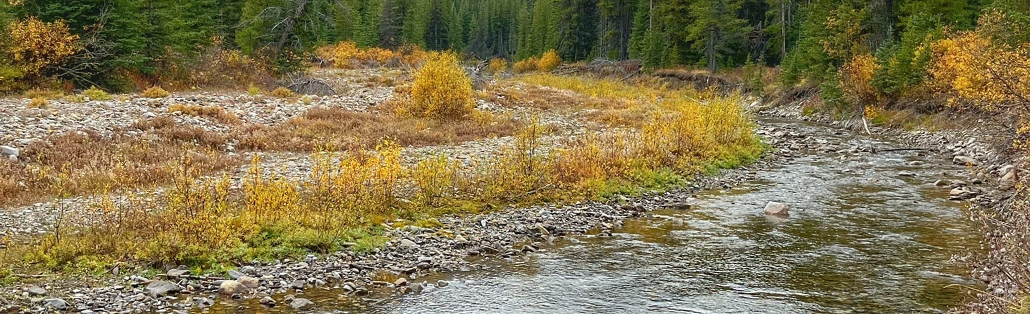 Running Rain Lake Ridge: 3 Reviews, Map - Alberta, Canada | AllTrails