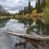 Mount Lorette Pond Trail, Alberta, Canada - 224 Reviews, Map | AllTrails