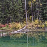 Mount Lorette Pond Trail, Alberta, Canada - 224 Reviews, Map | AllTrails