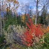 Canmore Hoodoos, Alberta, Canada - 343 Reviews, Map | AllTrails