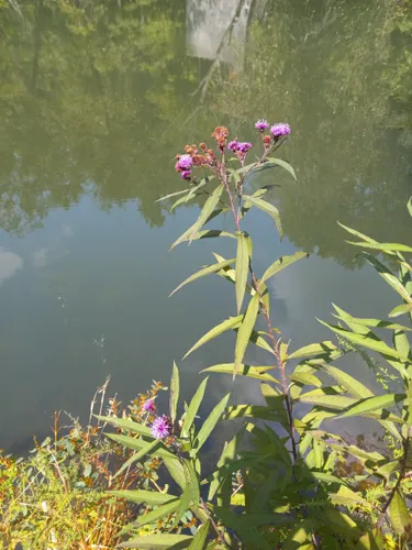 Best Hikes and Trails in Lake Rabon Park | AllTrails