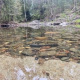 Aquila Loop, Queensland, Australia - 140 Reviews, Map | AllTrails