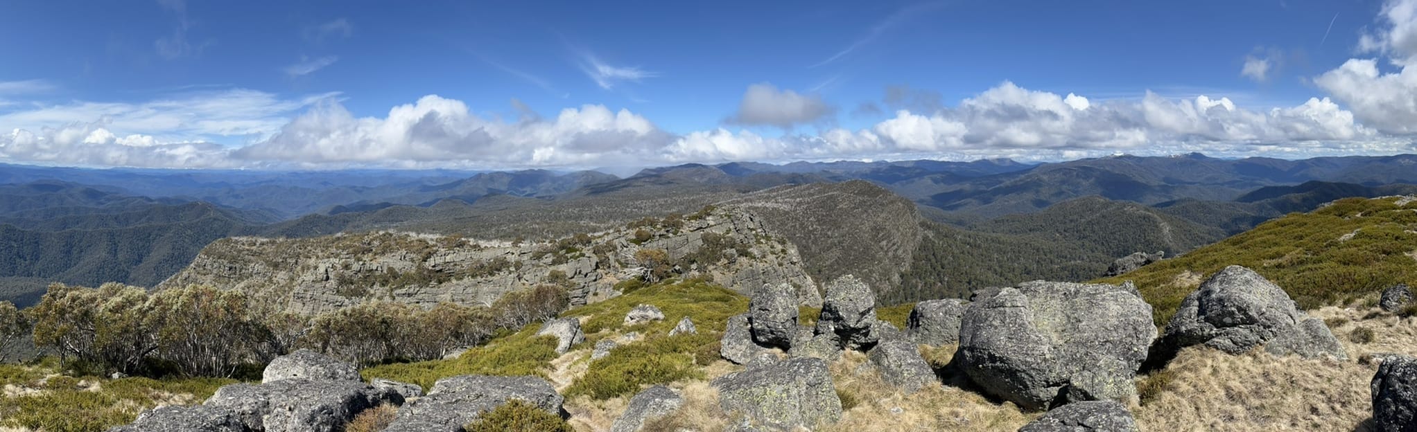 Mount Cobbler, Victoria, Australia - 19 Reviews, Map | AllTrails
