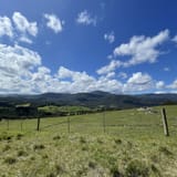 Long Gully Track Loop, Victoria, Australia - 58 Reviews, Map | AllTrails