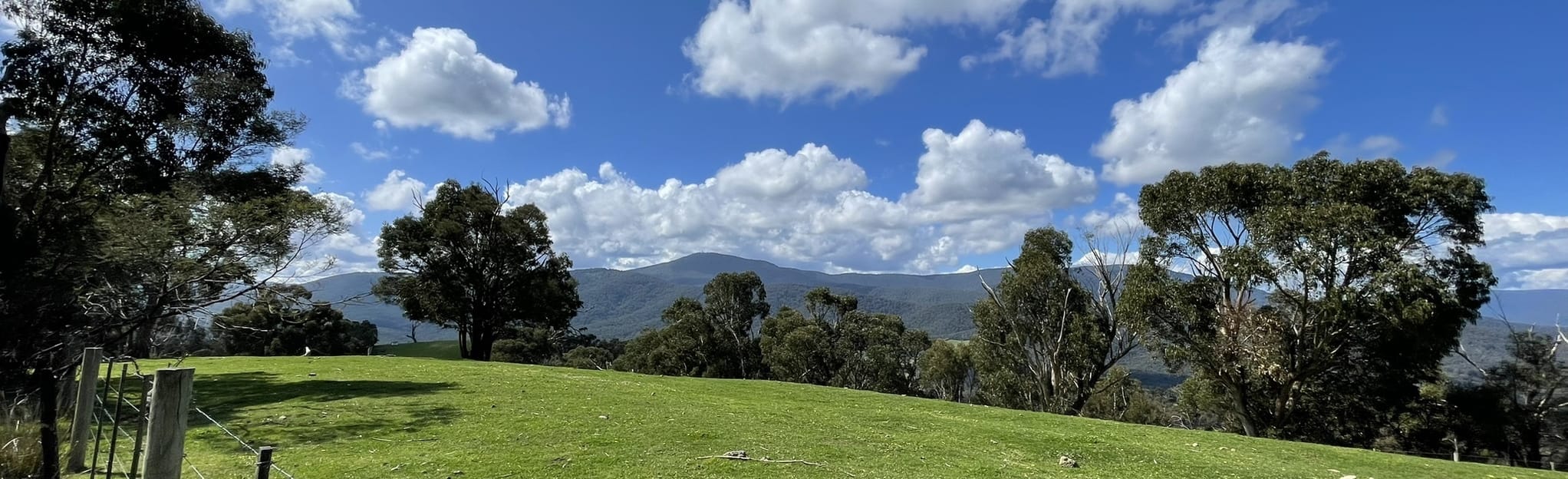 Long Gully Track Loop, Victoria, Australia - 36 Reviews, Map | AllTrails