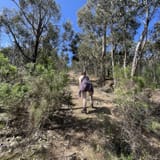 Long Gully Track Loop, Victoria, Australia - 58 Reviews, Map | AllTrails