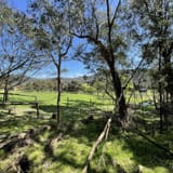 Long Gully Track Loop, Victoria, Australia - 58 Reviews, Map | AllTrails
