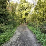 Banstead Woods Nature Circular, Surrey, England - 629 Reviews, Map ...