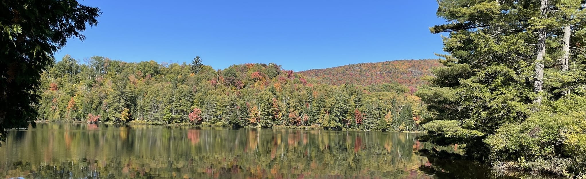 Black Pond via Woods and Waters Trail - New York | AllTrails